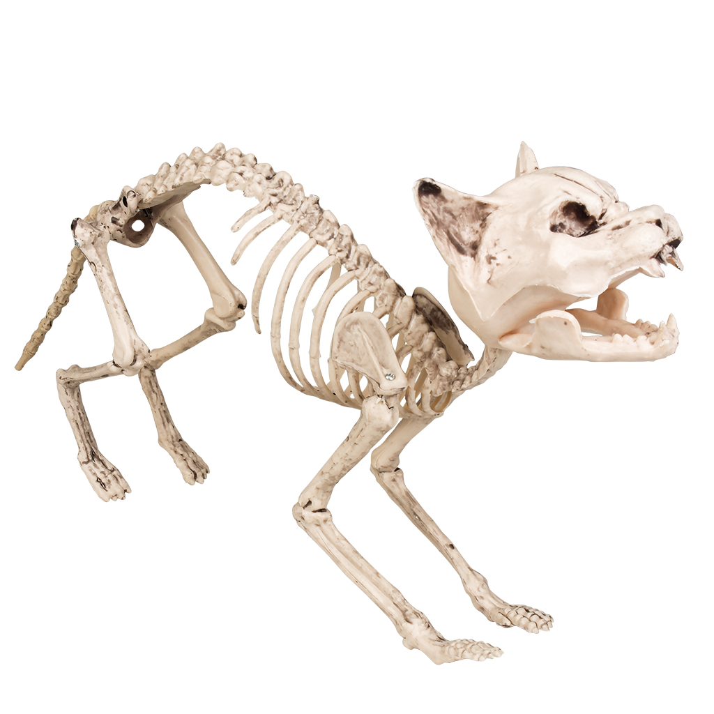 Halloween kat skelet decoratie kopen online - Partycorner.nl