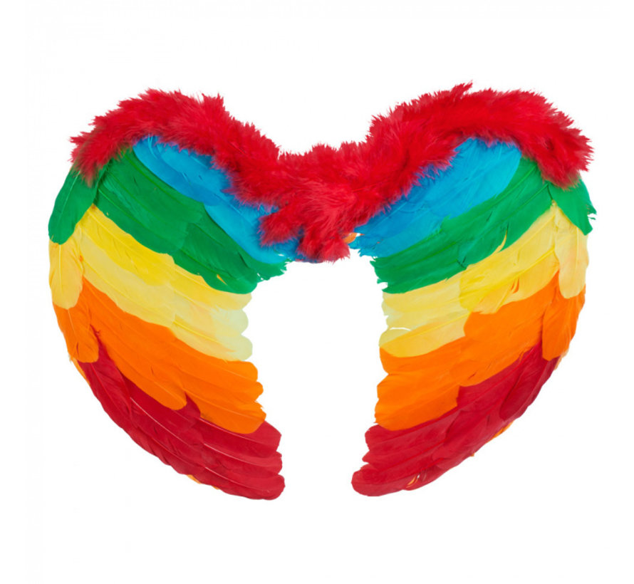 Kleine engel vleugels regenboog - Partycorner.nl