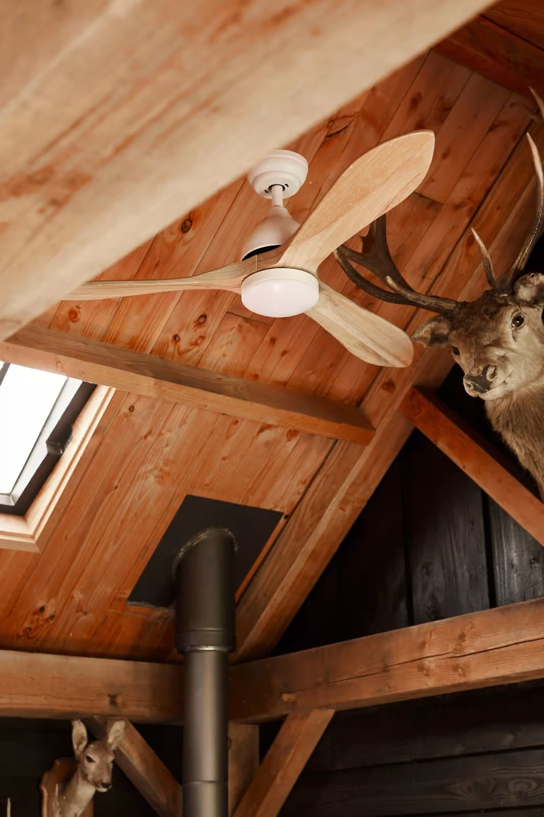 EVO-CF50BW Plafondventilator Hout/Wit - Groene Hoed Duurzaam