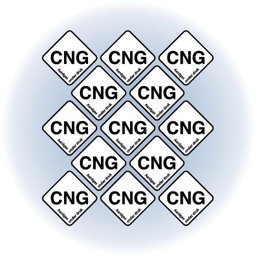 CNG brandstofsticker met uitleg - Stickerpoint