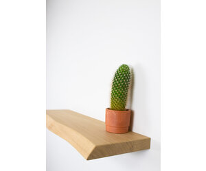 S320 - boom onbehandeld