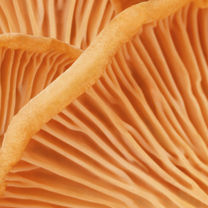 MÁDARA HIS Face Cream | Natuurlijk voor Mannen - De Groene Drogist