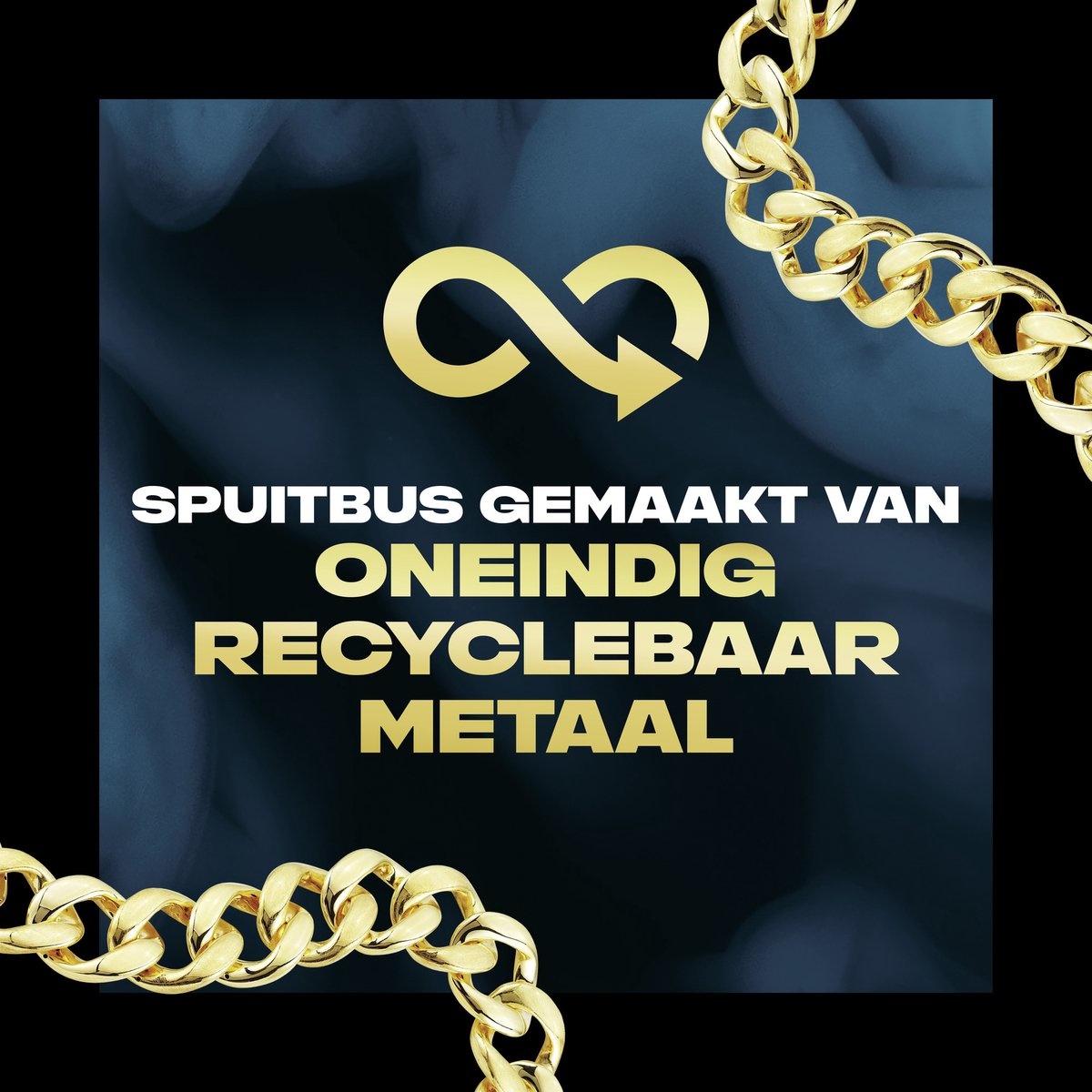 AX Fine Fragrance Collection Aqua Bergamot Premium Deodorant Body Spray ...