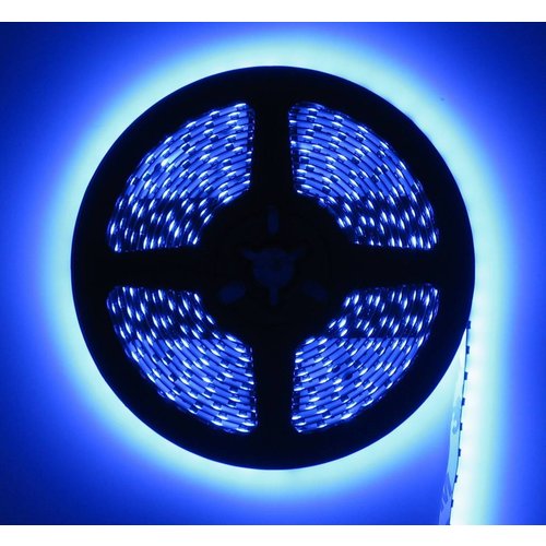 LEDStrip Blauw 2,5 Meter 120 LED per meter 12V | LEDStripXL - LEDStripXL