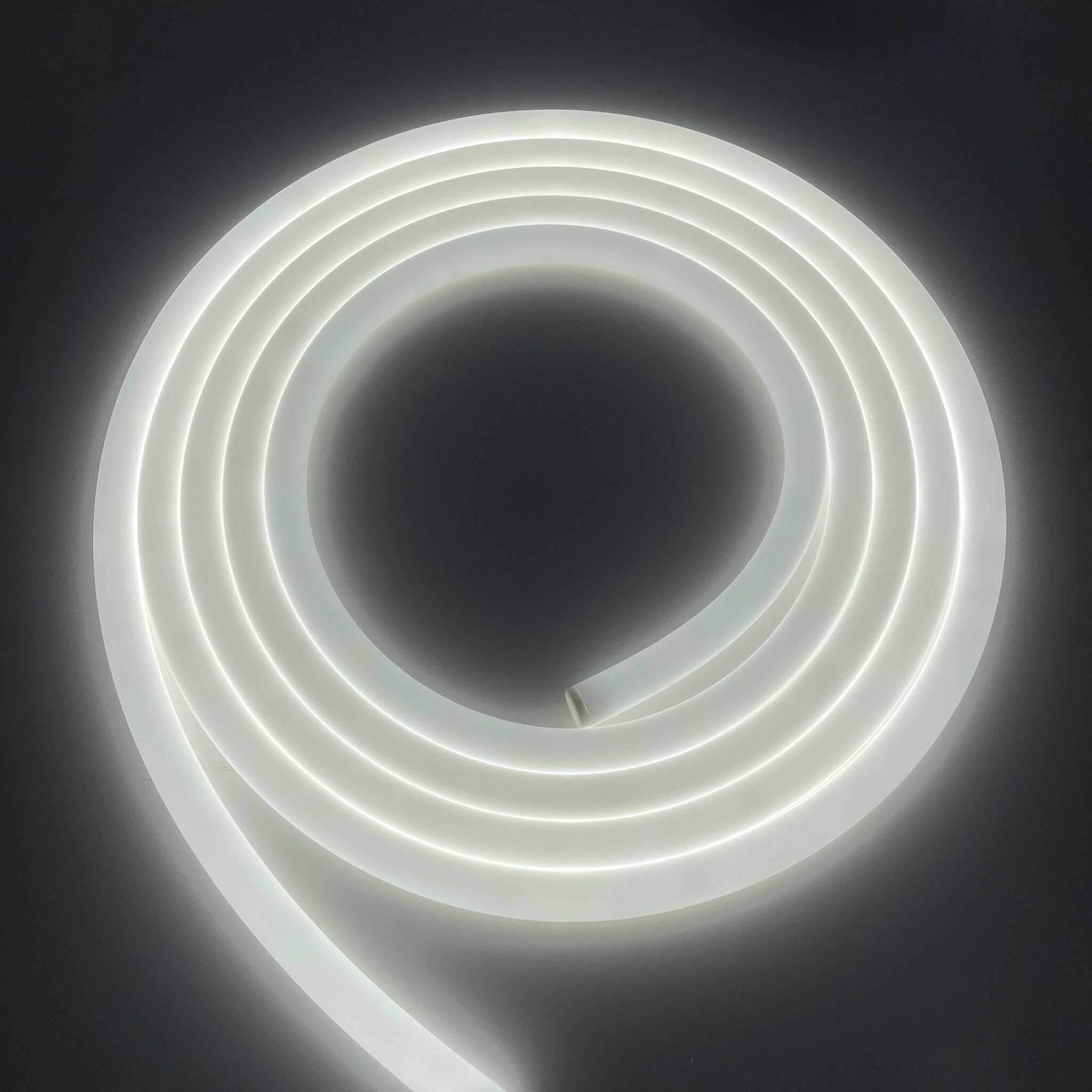 Neon LEDStrip Slimline - 360 graden rond - Helder Wit 5000K - 5 meter ...