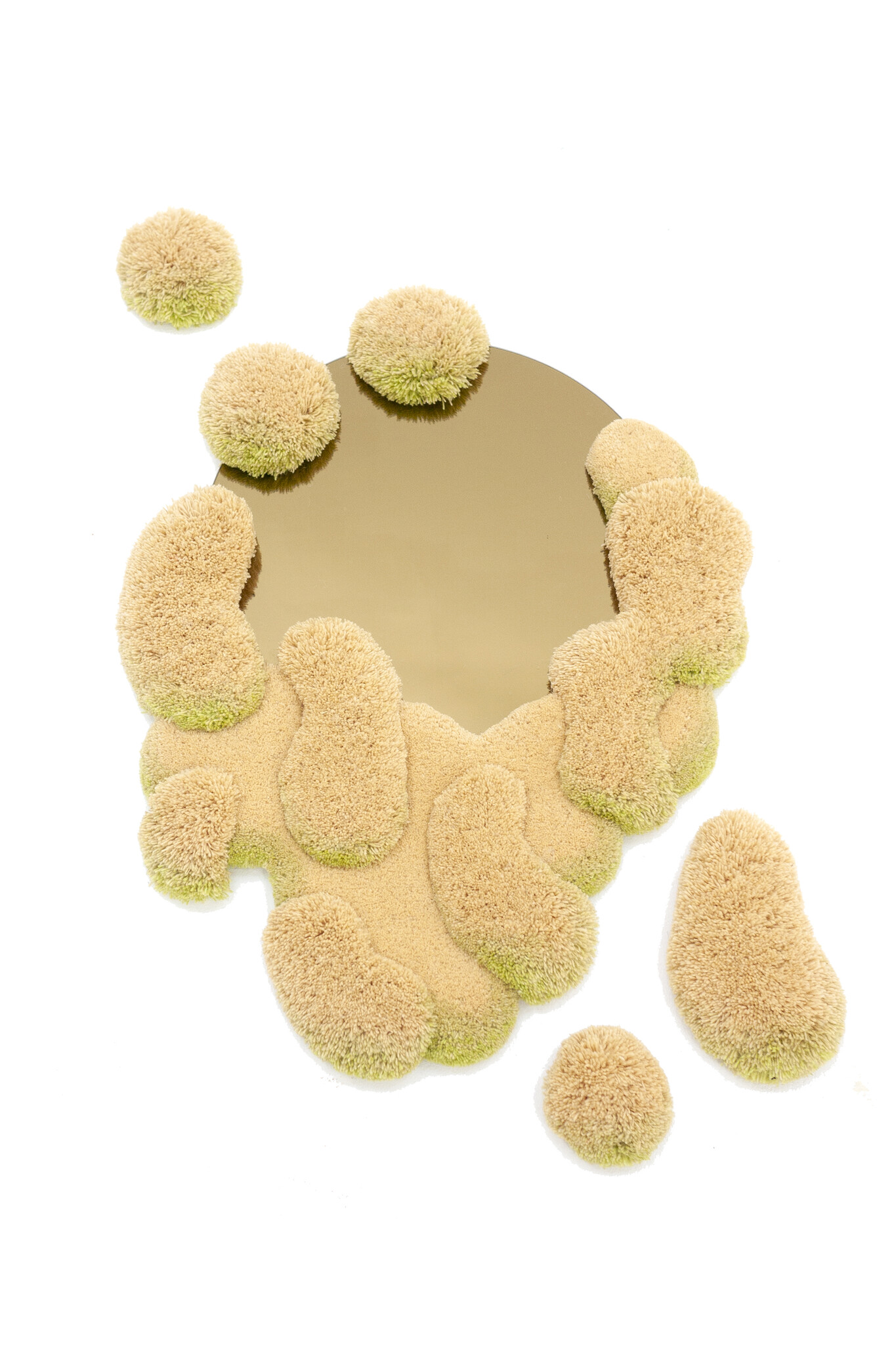 blogs - Introducing Pure Morning Portal collection - Transnatural