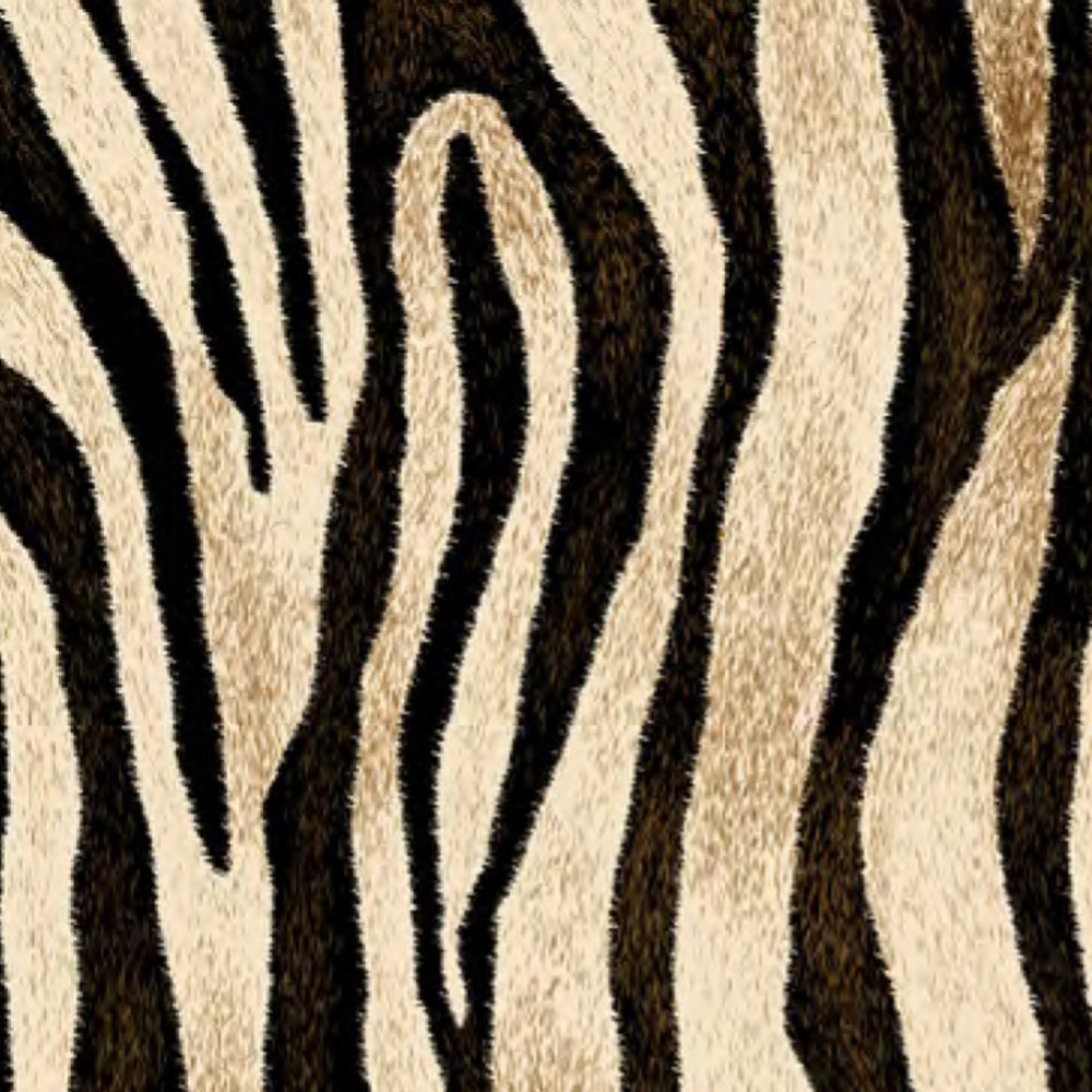 Siser Easy Patterns Wild Zebra - Silhouetteshop