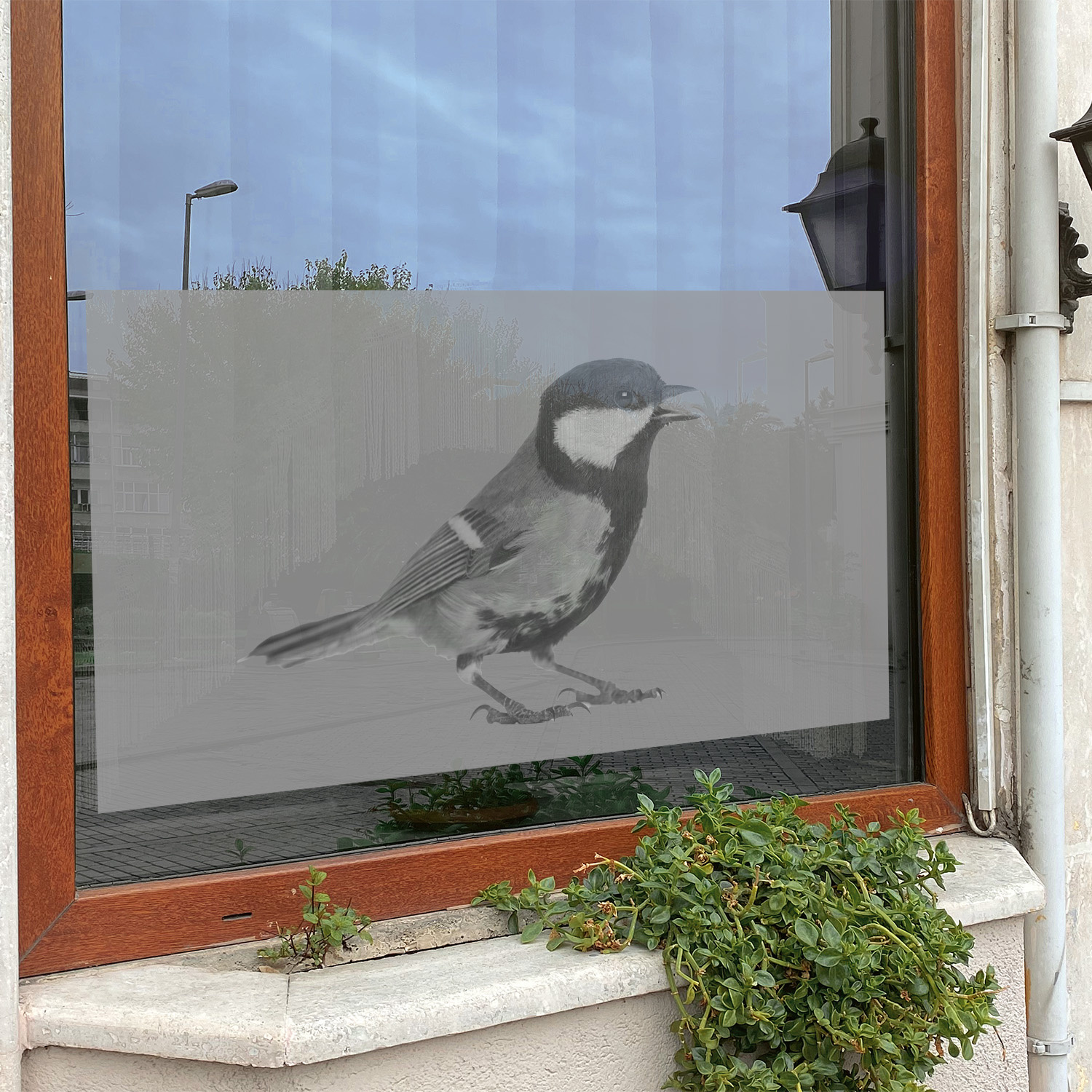 Raamfolie Musje - Muursticker4sale