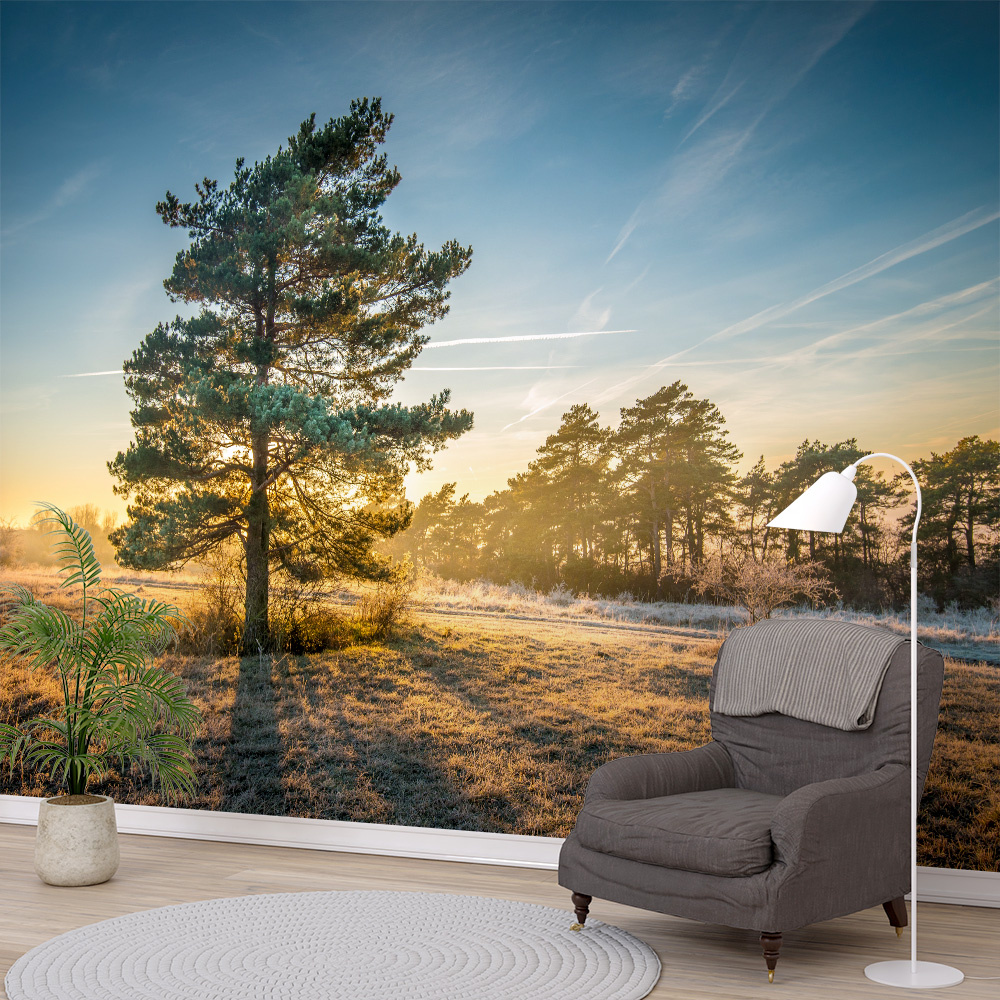 Behang Boom in de zon - Muursticker4sale