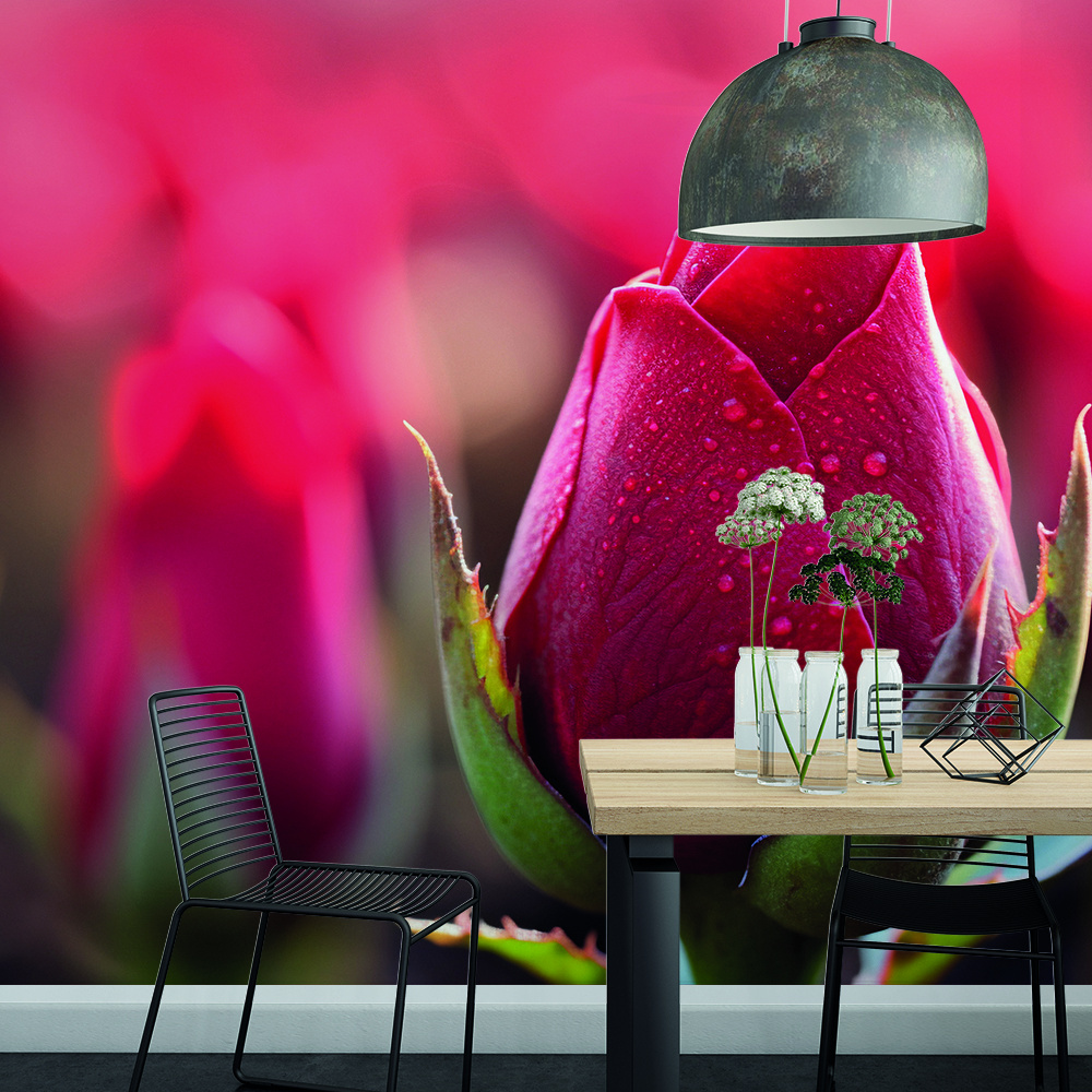 behang Bloem met condens - Muursticker4sale