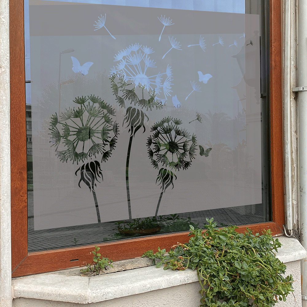 Raamfolie Paardenbloem - Muursticker4sale