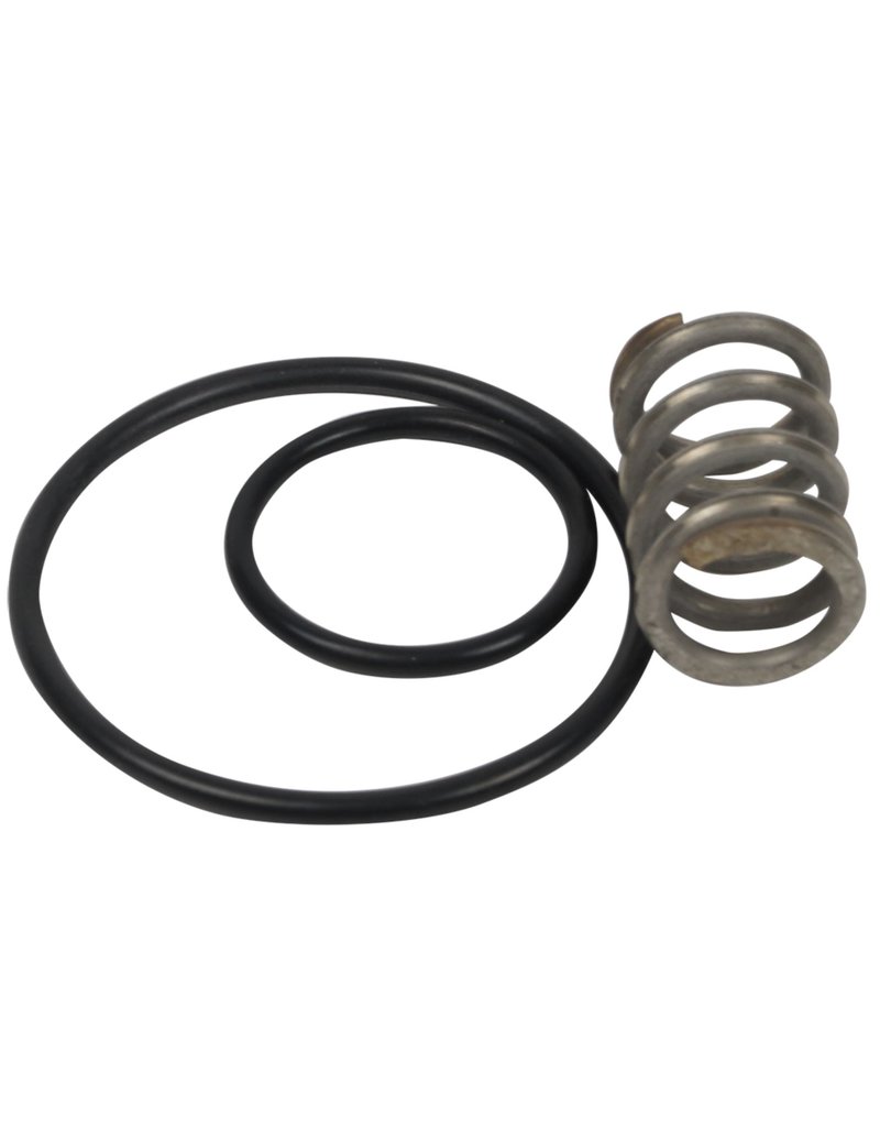 Springveer - INOX-RVS.COM