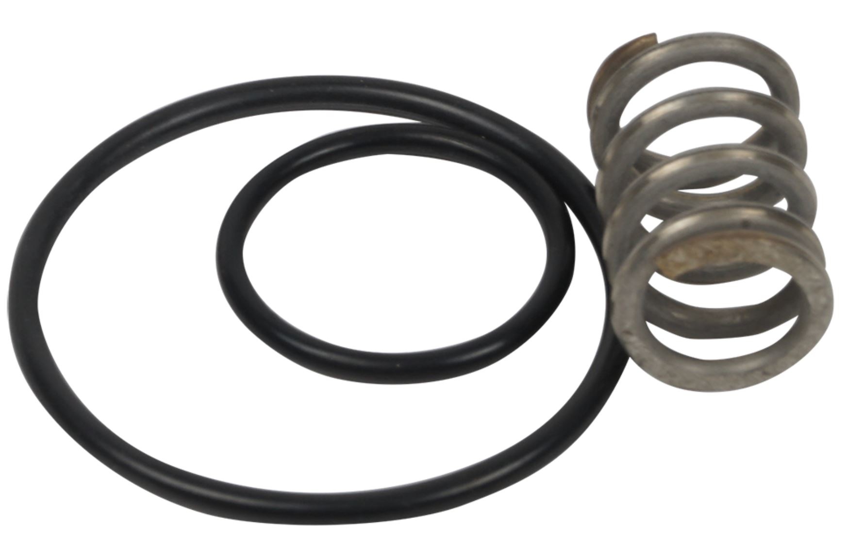 Springveer - INOX-RVS.COM