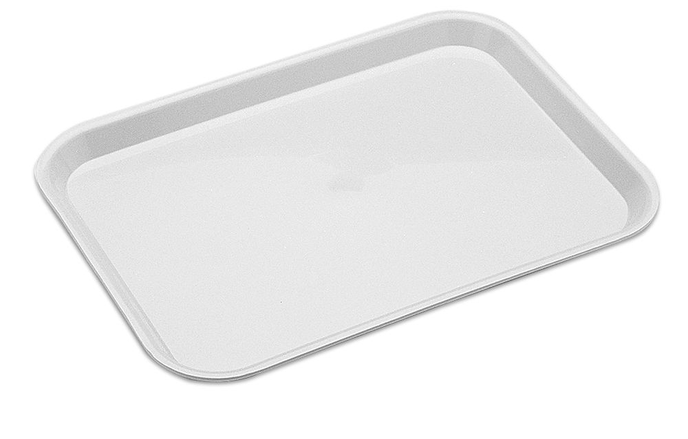 Tray - INOX RVS FOR FOOD INDUSTRY