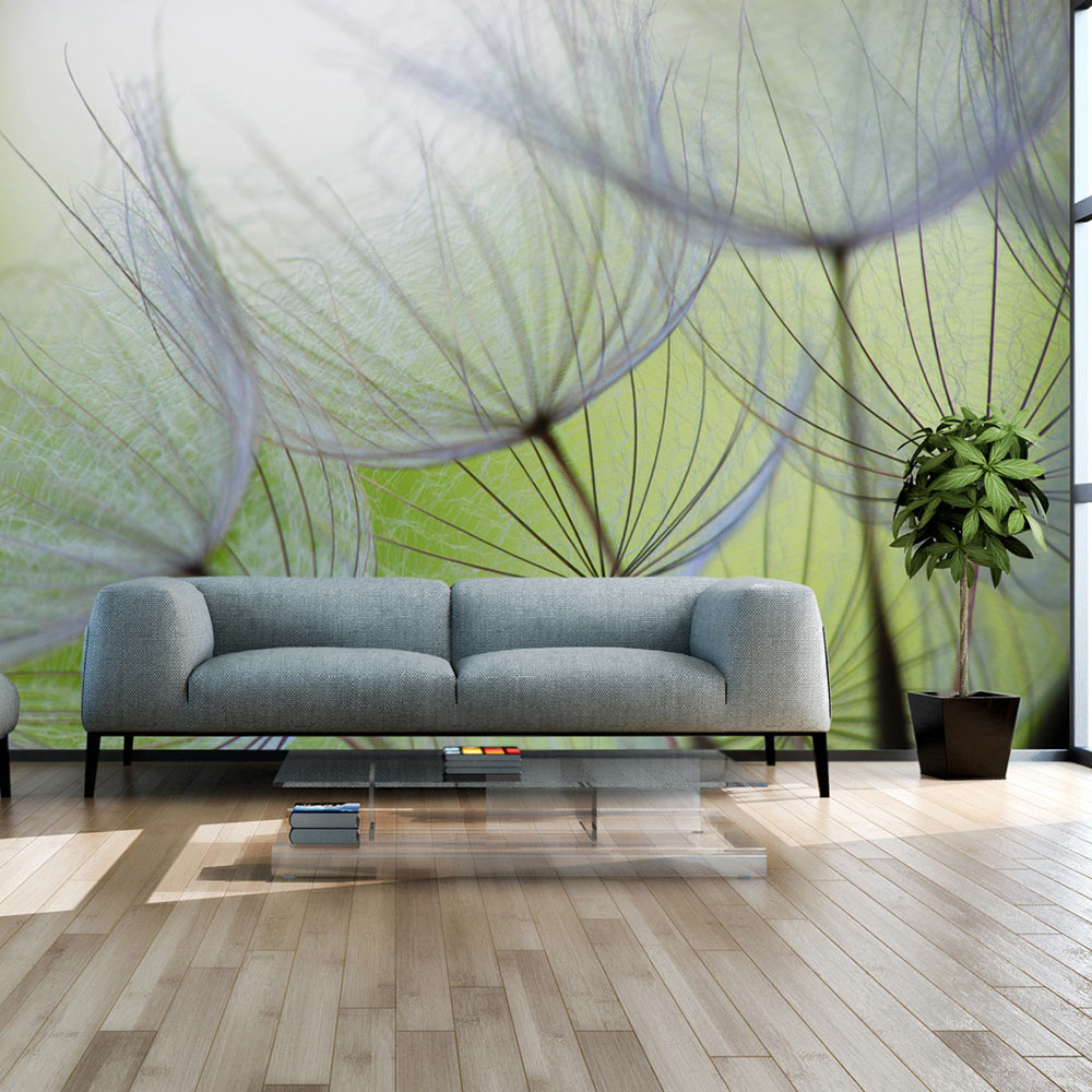 Zelfklevend fotobehang - Paardebloemen, 8 maten, premium print - QM Art BV