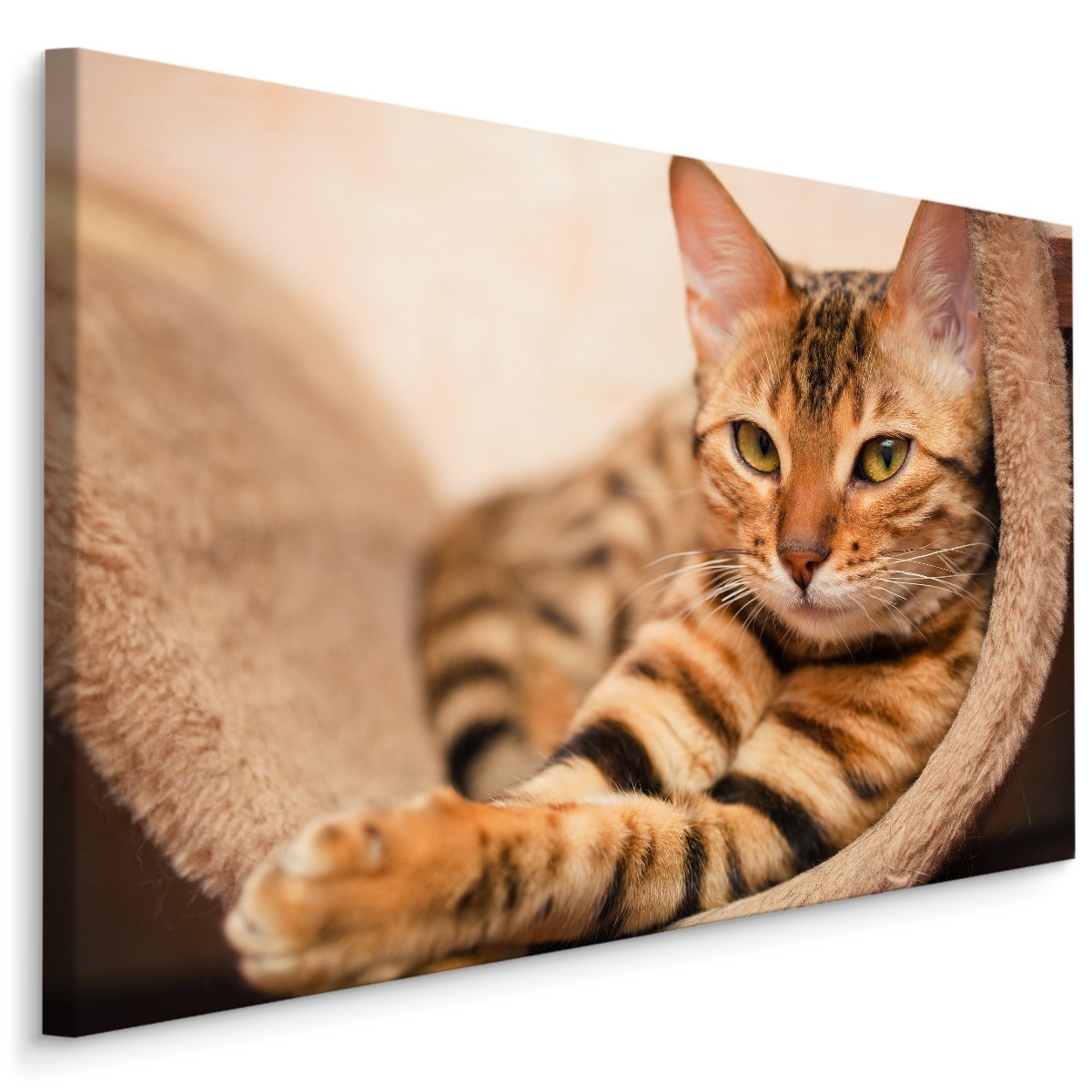 Schilderij - Bengaalse Kat, Premium Print, 5 maten - QM Art BV