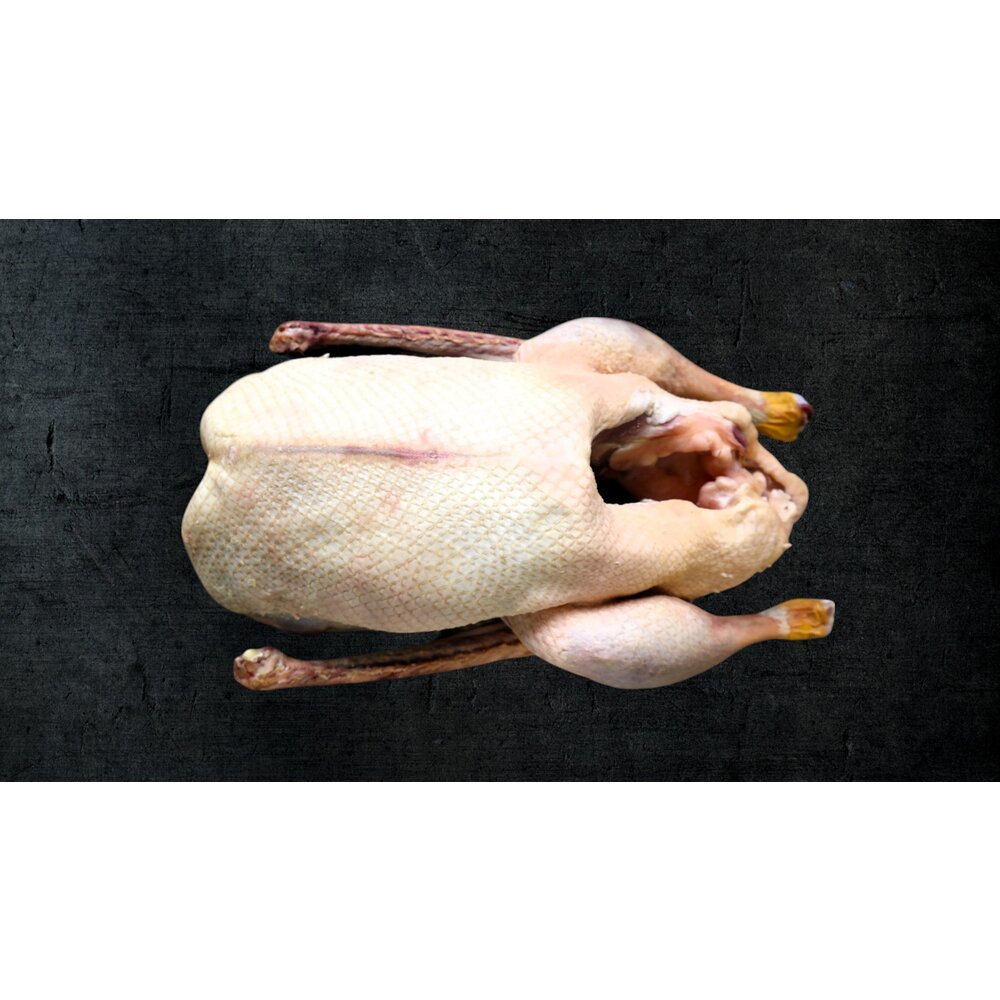 Gans Kaufen In Der Nahe