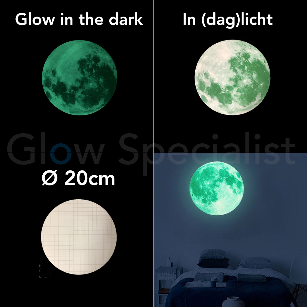 GLOW IN THE DARK FULL MOON - 3 SIZES - Glow Specialist - Glow Specialist