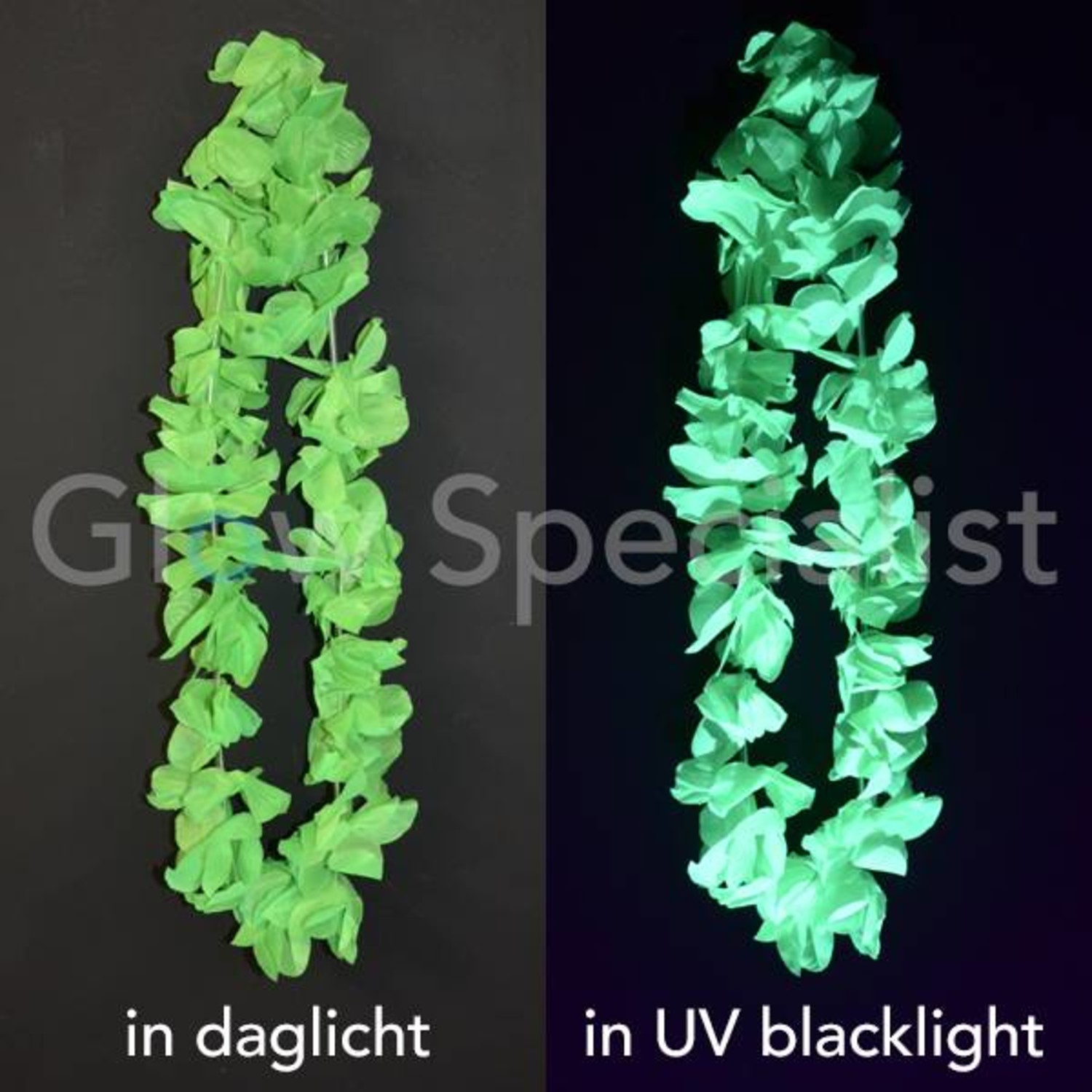Leis Black Light