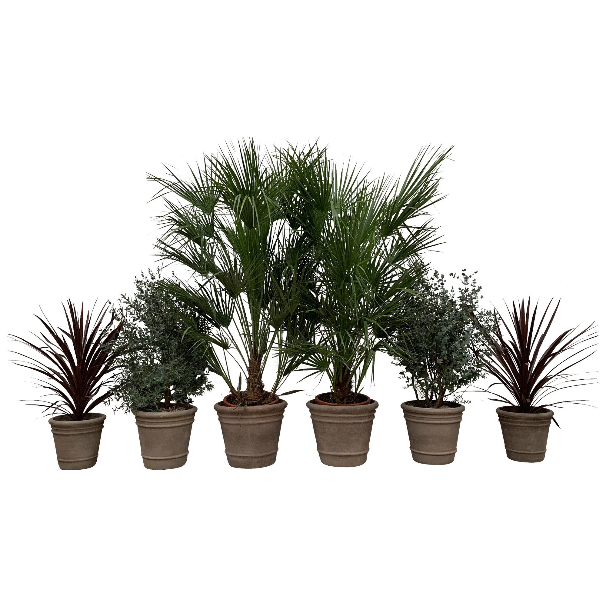 Combi Deal Doppio Triple Mix - Green Bubble