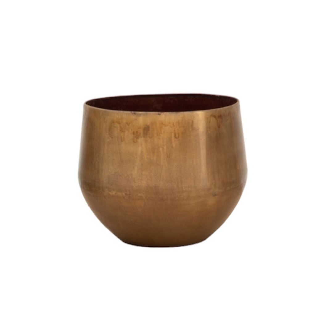 Ayka old camel - Green Bubble