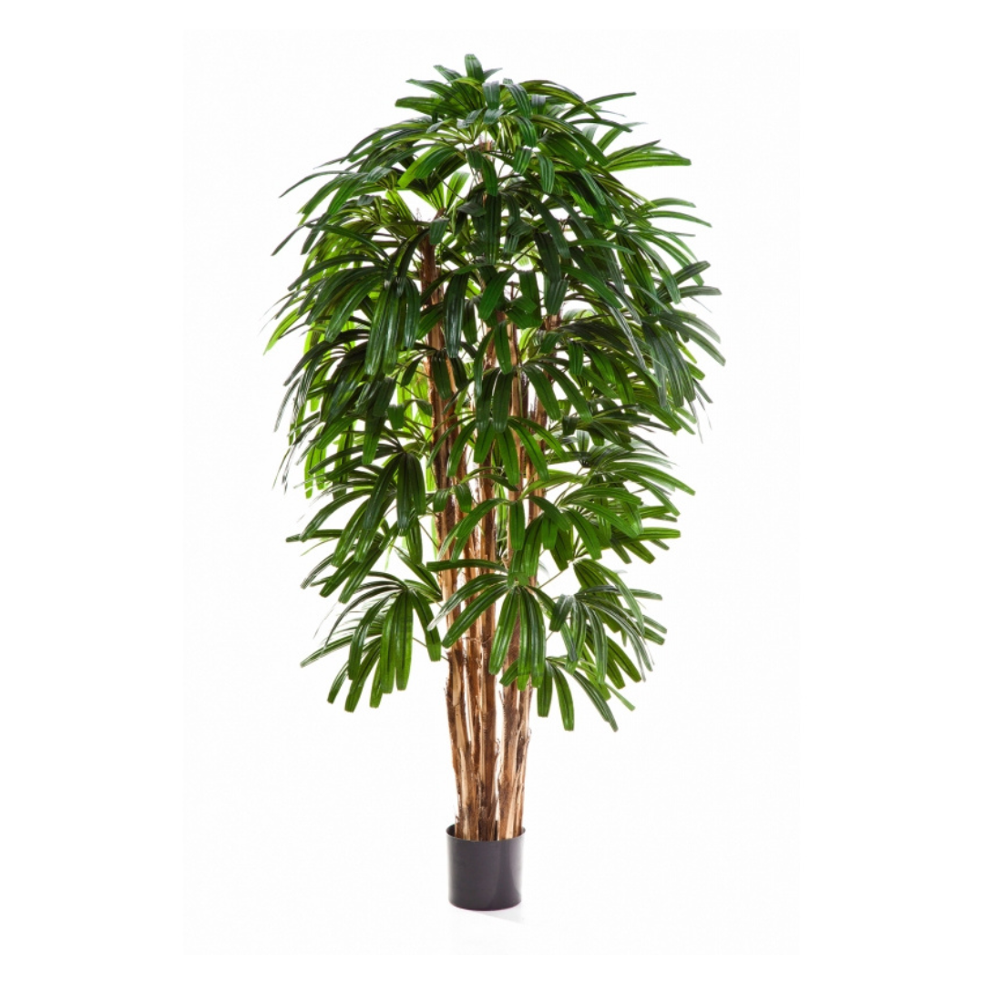 Rhapis artificial palm tree - 210 cm - Green Bubble