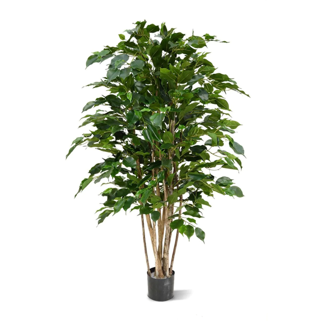 Ficus Benjamina Exotica plante artificielle - 120 cm - Green Bubble