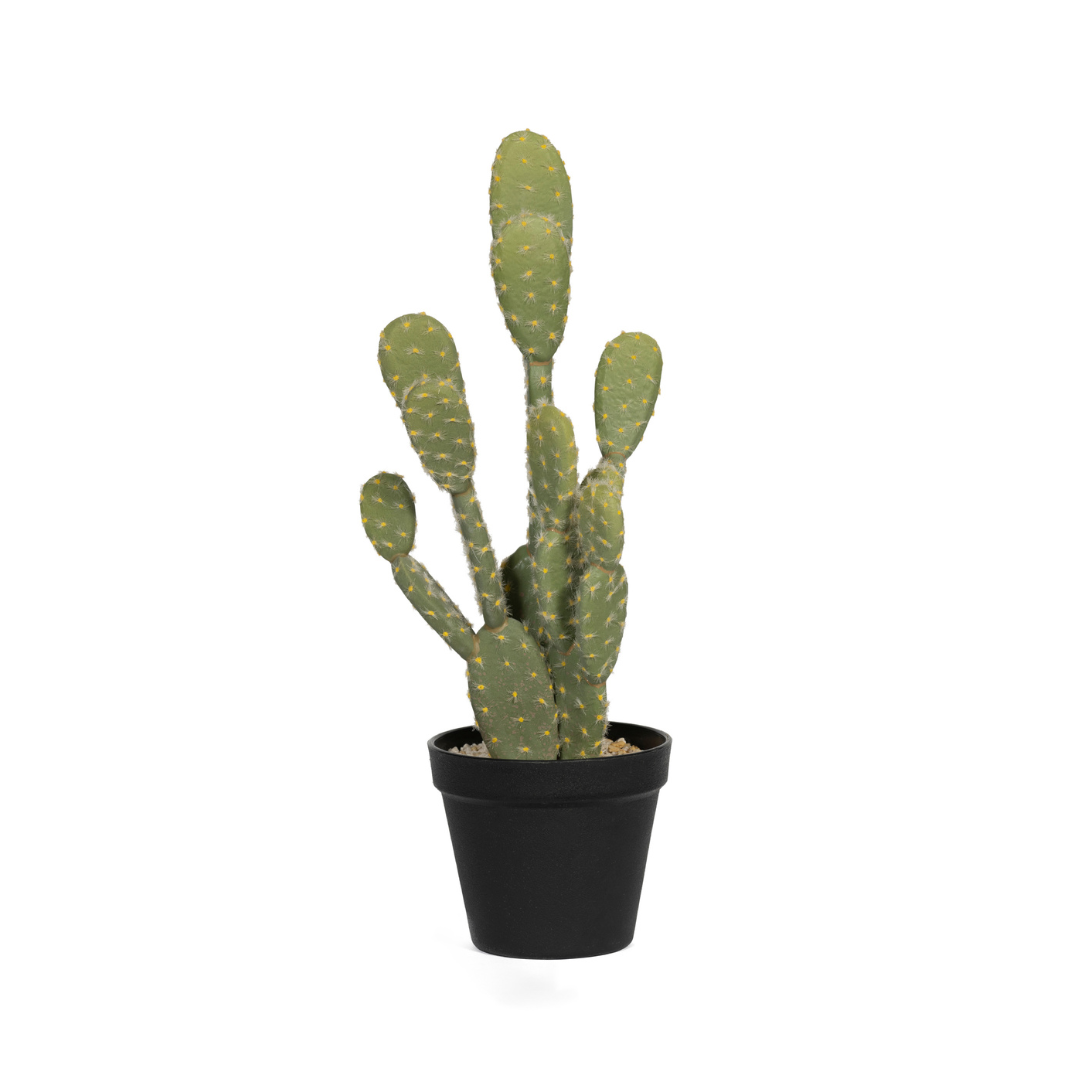 Artificial Cactus Opuntia - 41 cm - Green Bubble