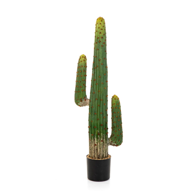 Buy Artificial Cactus → Order Artificial Cactus → Fast shipping - Green ...