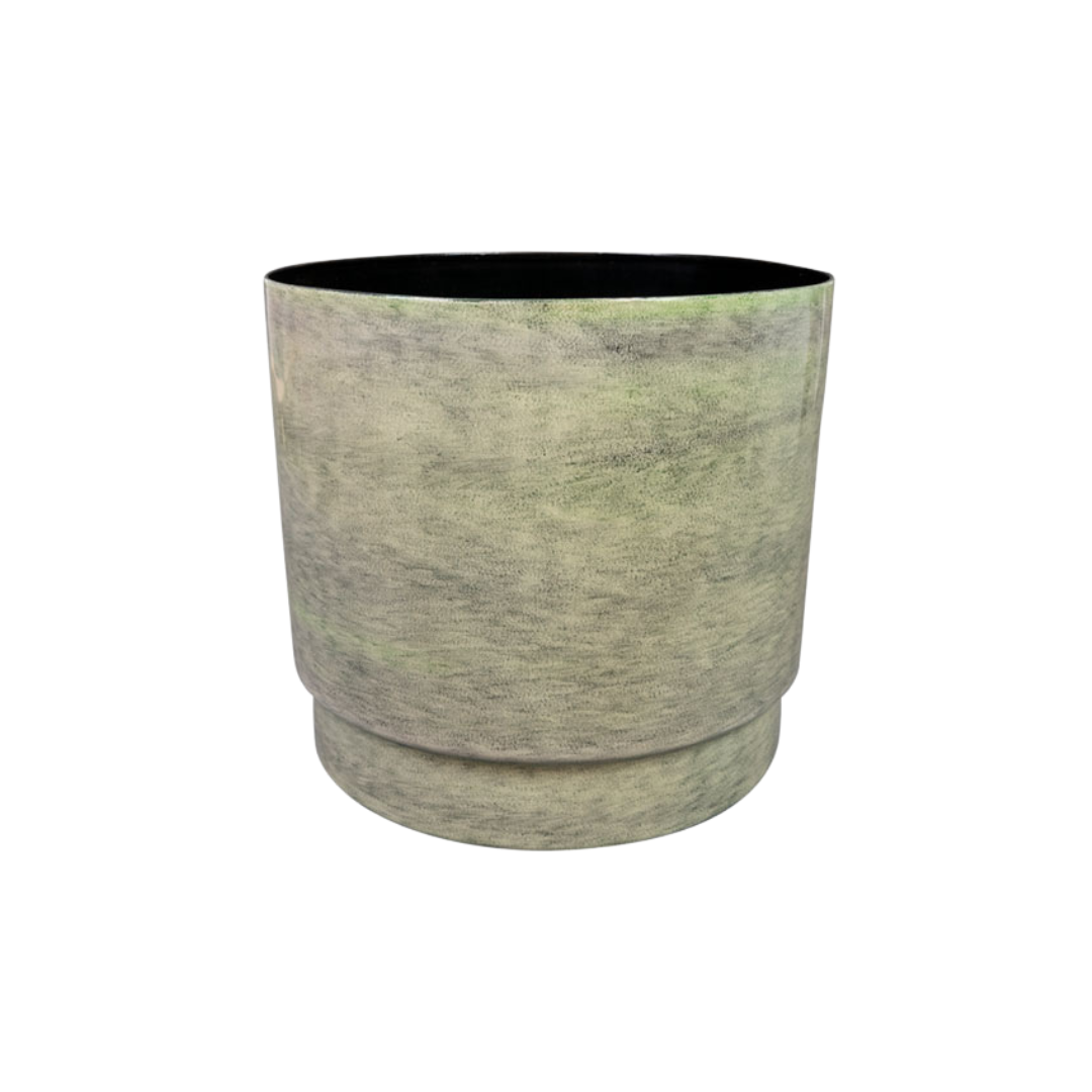 Pot Rens thyme - Green Bubble