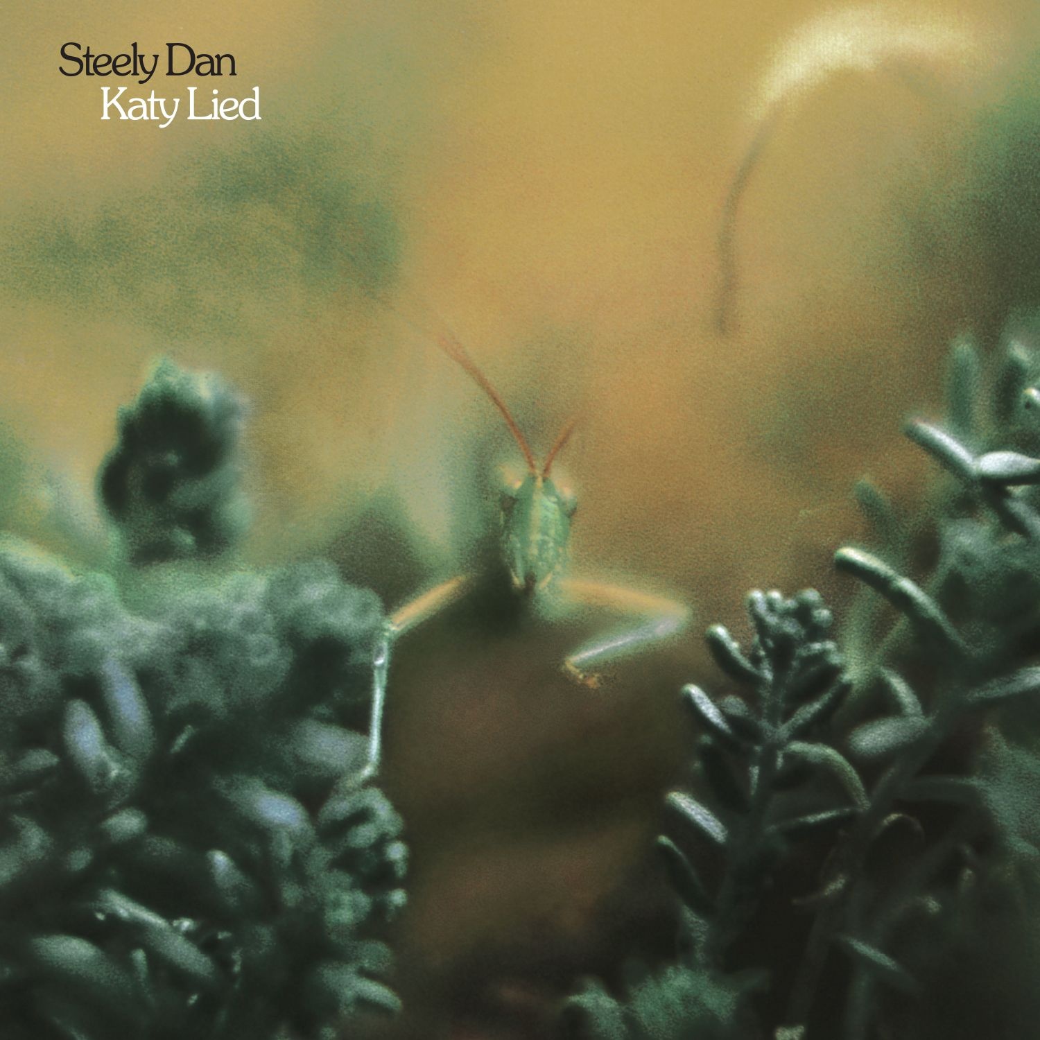 Steely Dan - Katy Lied - Hybrid-SACD - Hi-Stands Webshop!