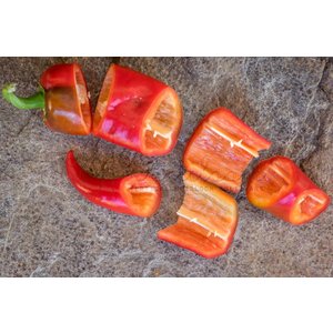 Chervena Chushka - Sweet Pepper - Vertiloom