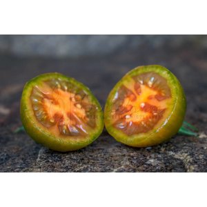 Evil Olive - Tomato - Vertiloom