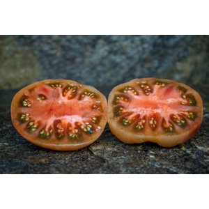 Tim's Black Ruffles - Tomato - Vertiloom