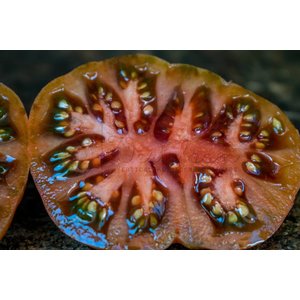 Tim's Black Ruffles - Tomato - Vertiloom