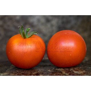 Manx Marvel - Tomato - Vertiloom