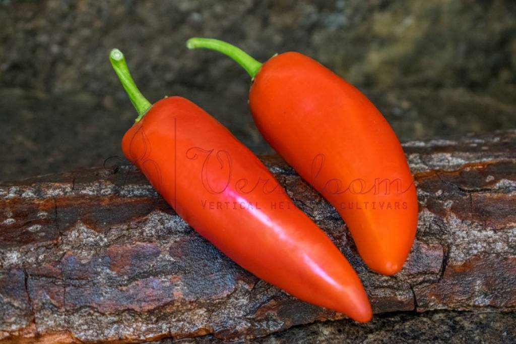 Mild Peppers - Vertiloom
