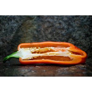 Giant Marconi - Sweet Pepper - Vertiloom