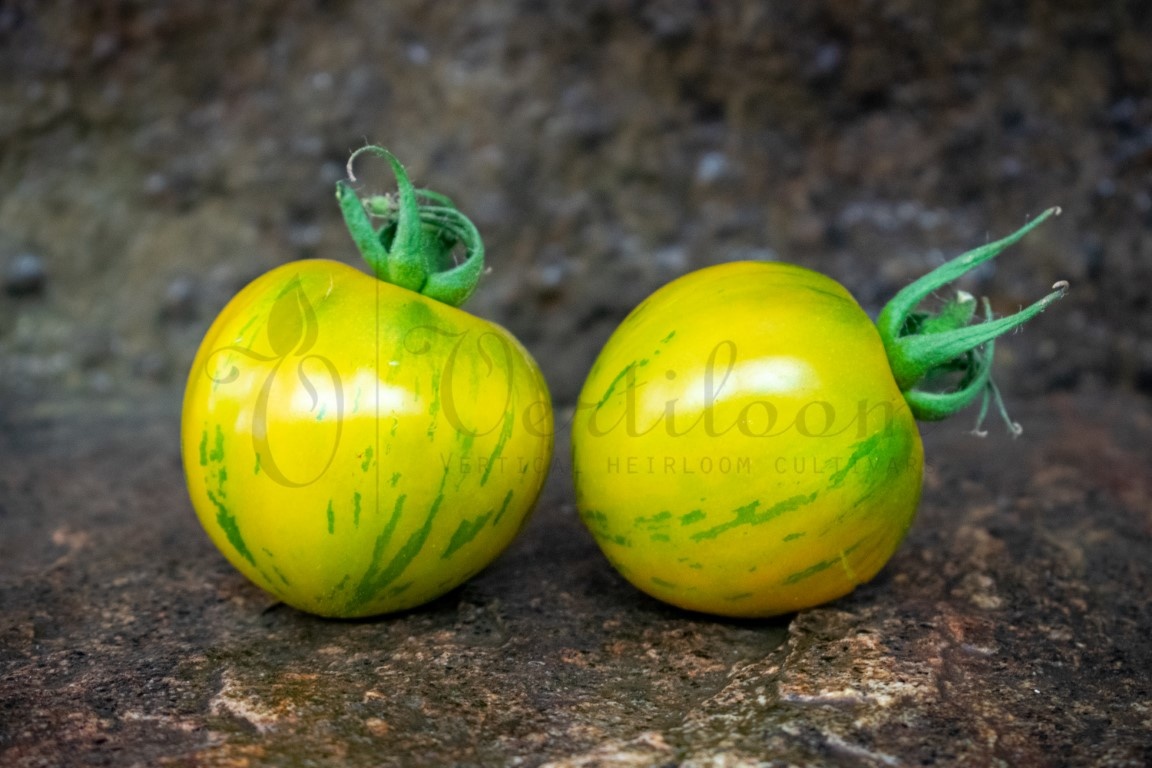 Striped Tomatoes - Vertiloom