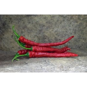 XXL Longhorn - Pepper - Vertiloom