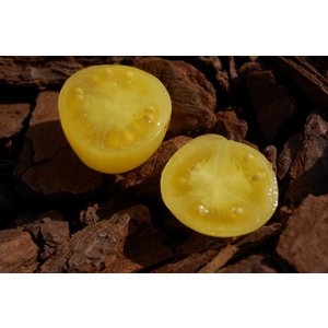 Tempête de sable - Vertiloom