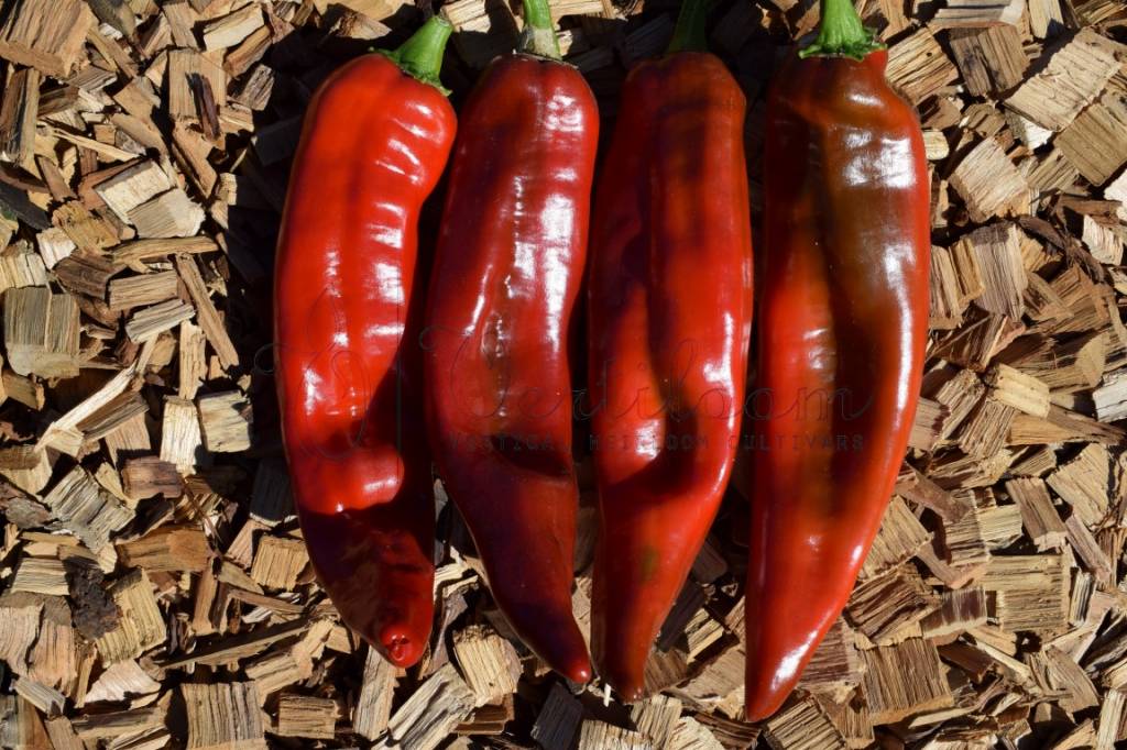 Sweet Peppers - Vertiloom