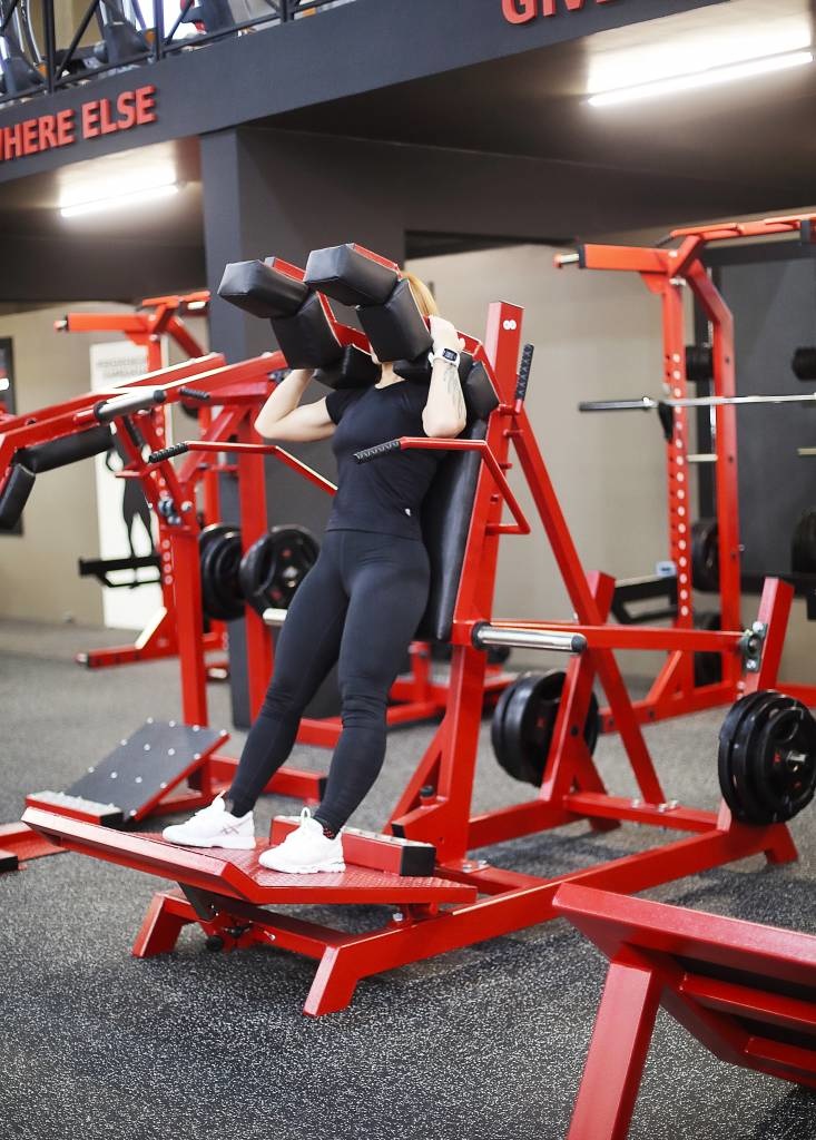 FP Equipment Front and Back Squat Machine Full Commercial ...