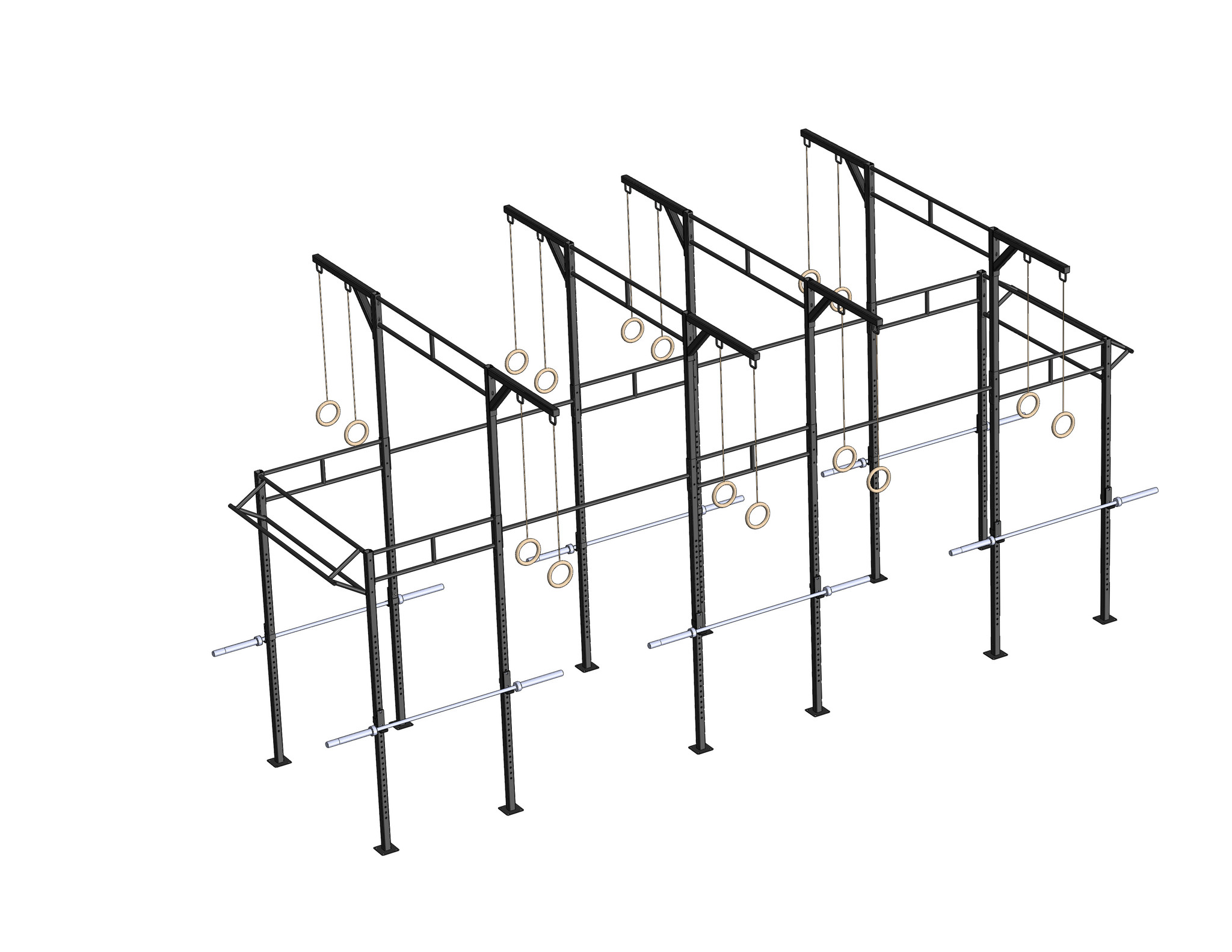 PT Essentials Heavy Duty Crossfit Rig | Vrijstaand Crossfit Rig ...
