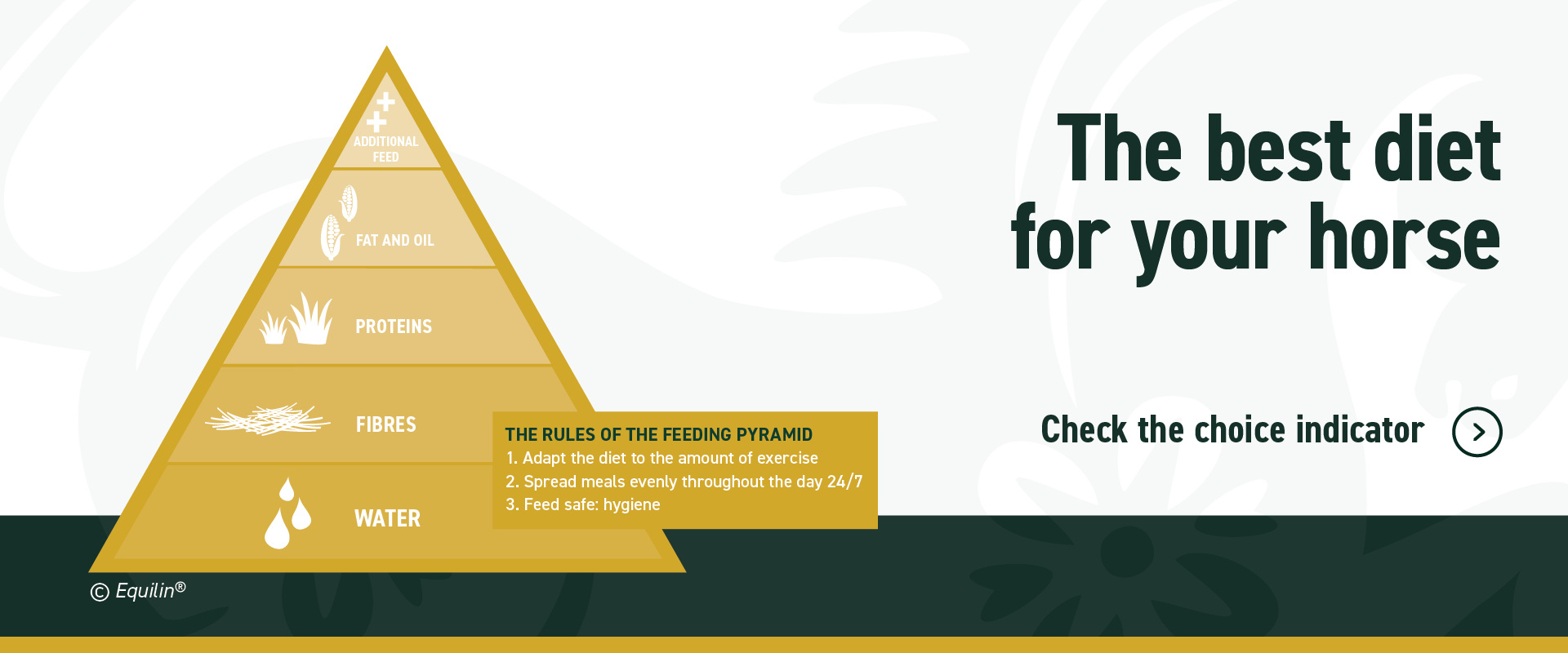 Veterinary nutrition for sport horses - Equilin BV