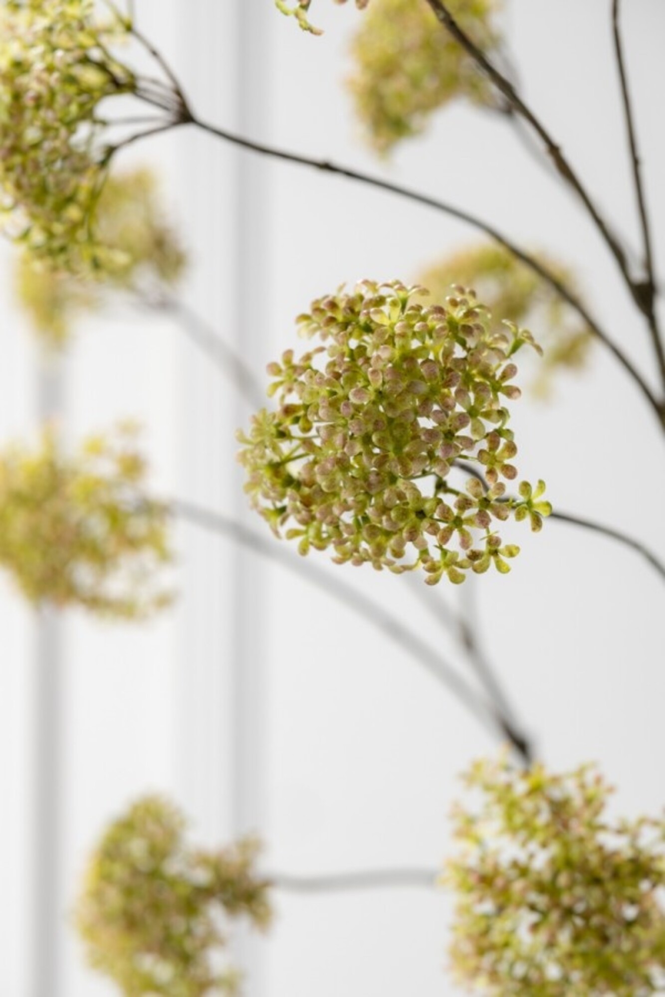 Dille Tak Groen | 107 cm - NU PUUR & GROEN B.V.