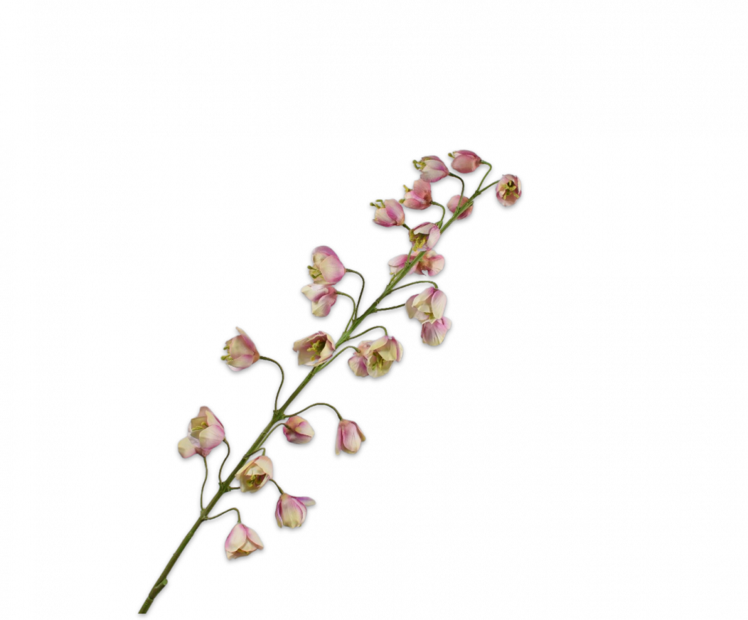 Fritillaria Tak Crème/Rose | 111 cm - NU PUUR & GROEN B.V.