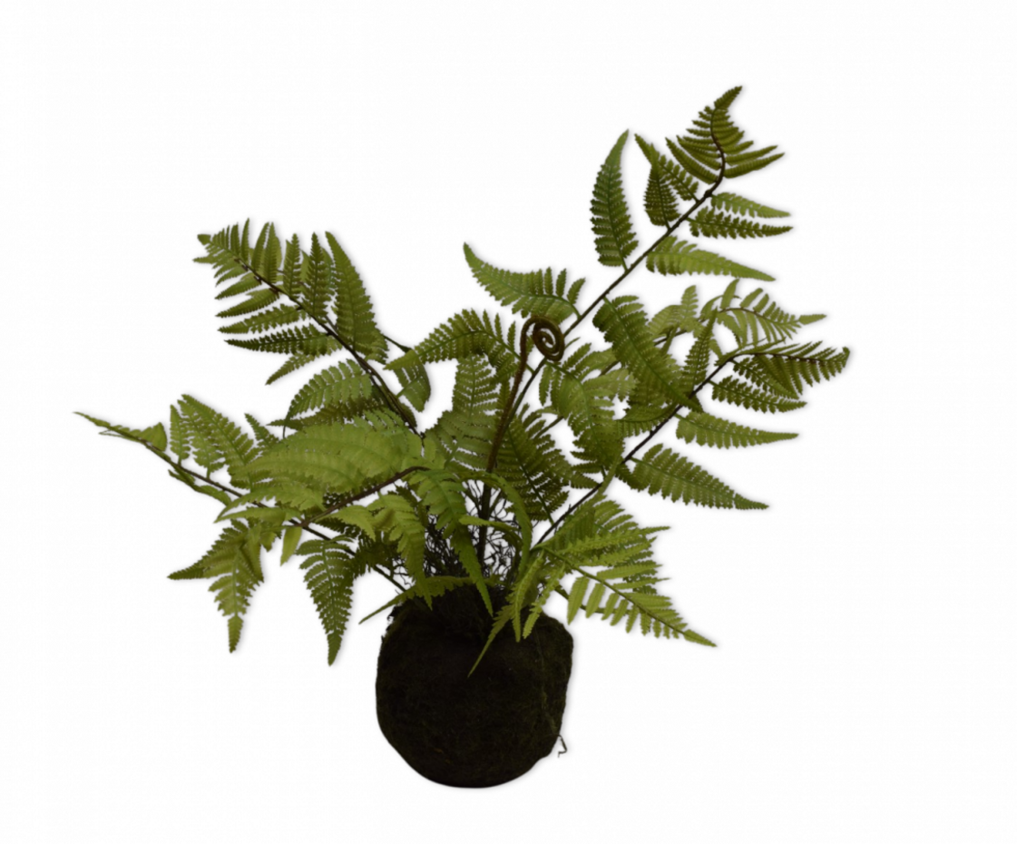 Artificial fern with moss on root ball 46 cm / SILK-KA - NU PUUR ...