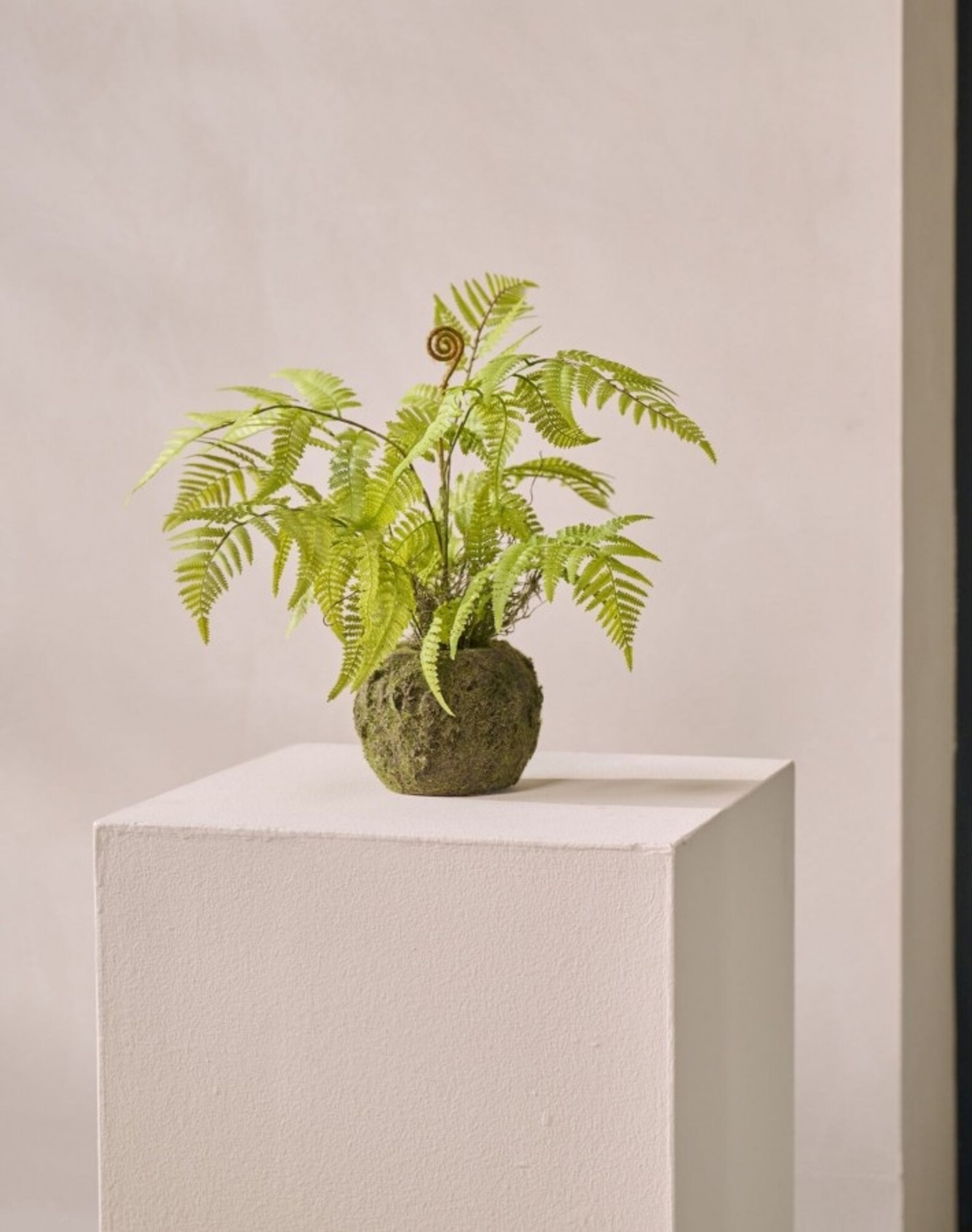 Artificial fern with moss on root ball 46 cm / SILK-KA - NU PUUR ...