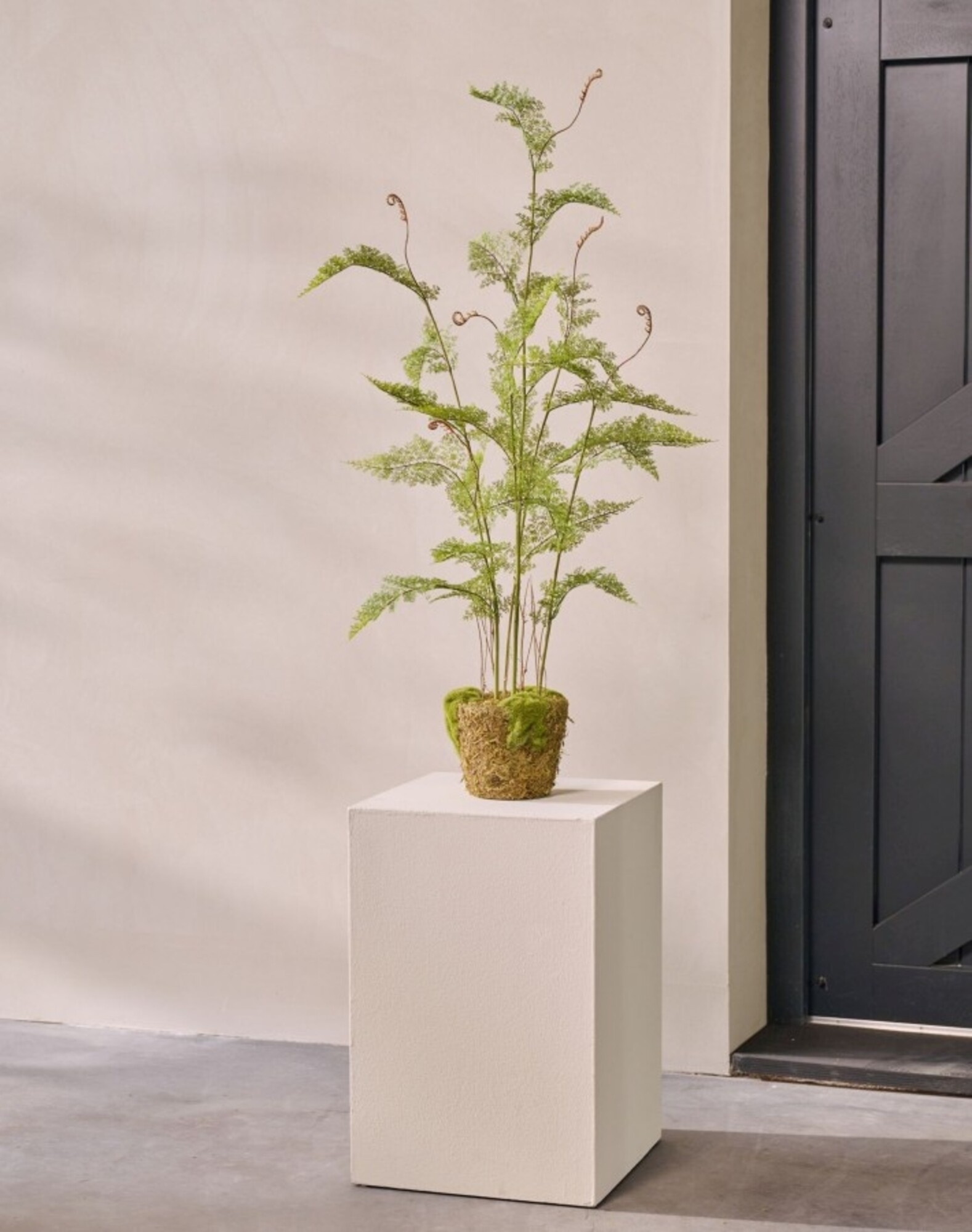 Artificial fern on root ball with moss 122 cm / SILK-KA - NU PUUR ...